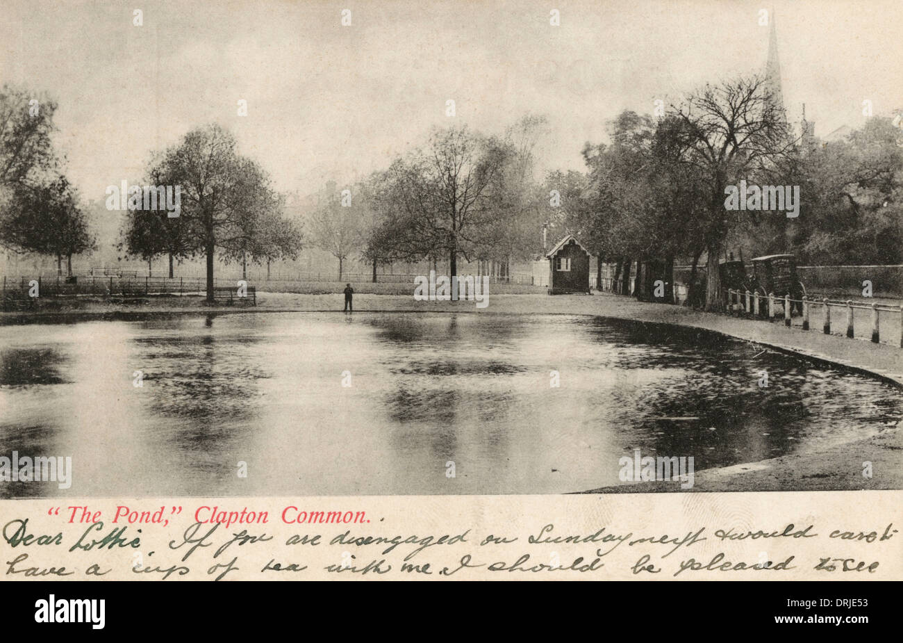 Clapton london common hi-res stock photography and images - Alamy