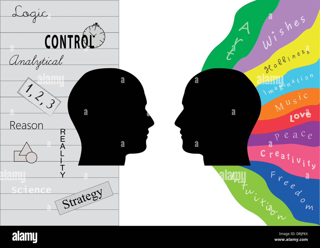 Brain man cerebral hemispheres hi-res stock photography and images - Alamy