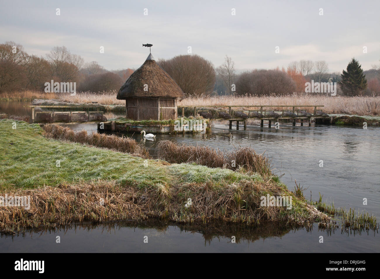 River test hampshire hi-res stock photography and images - Alamy