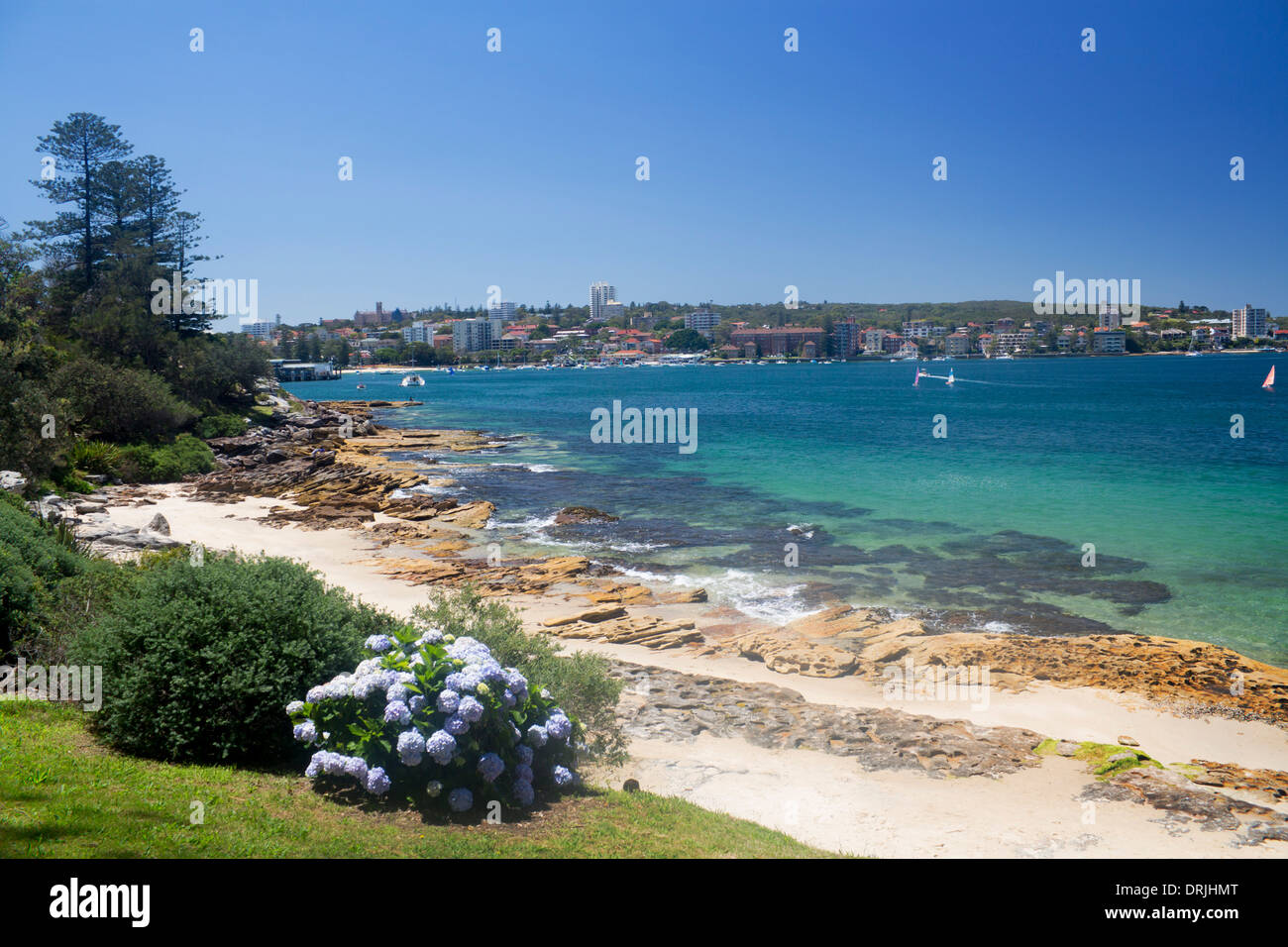 Delwood Beach looking out across Manly Cove waters to North Head Manly ...