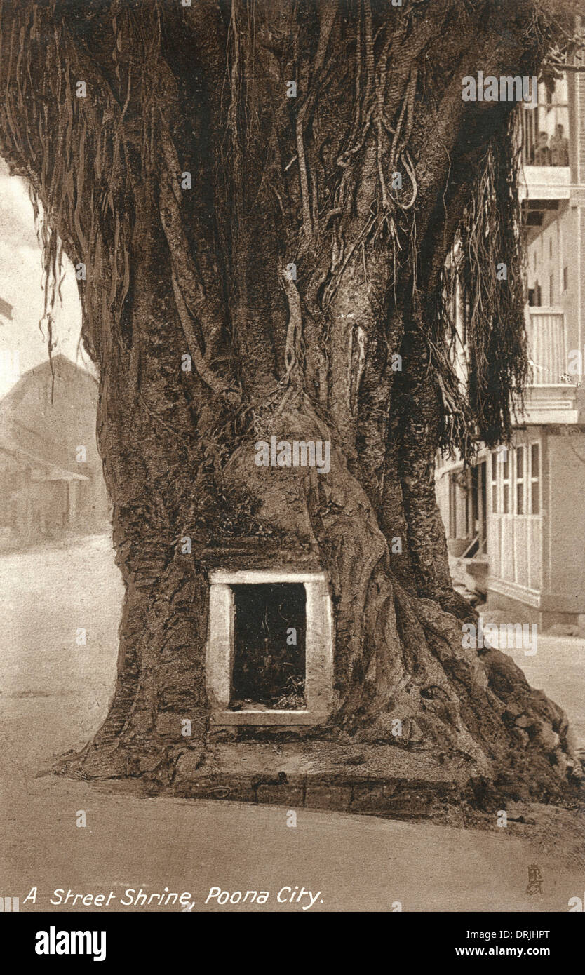 Street Shrine in the base of a tree trunk - Pune, India Stock Photo - Alamy
