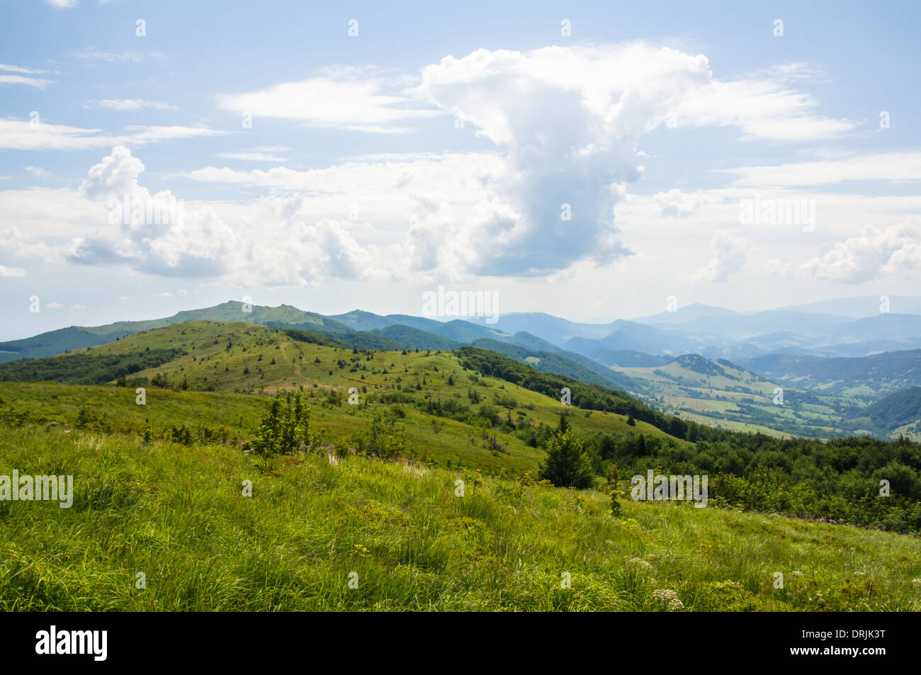 Mountain range in Bieszczady Mountains Poland Stock Photo - Alamy Mountain range in Bieszczady Mountains Poland Stock Photo - Alamy