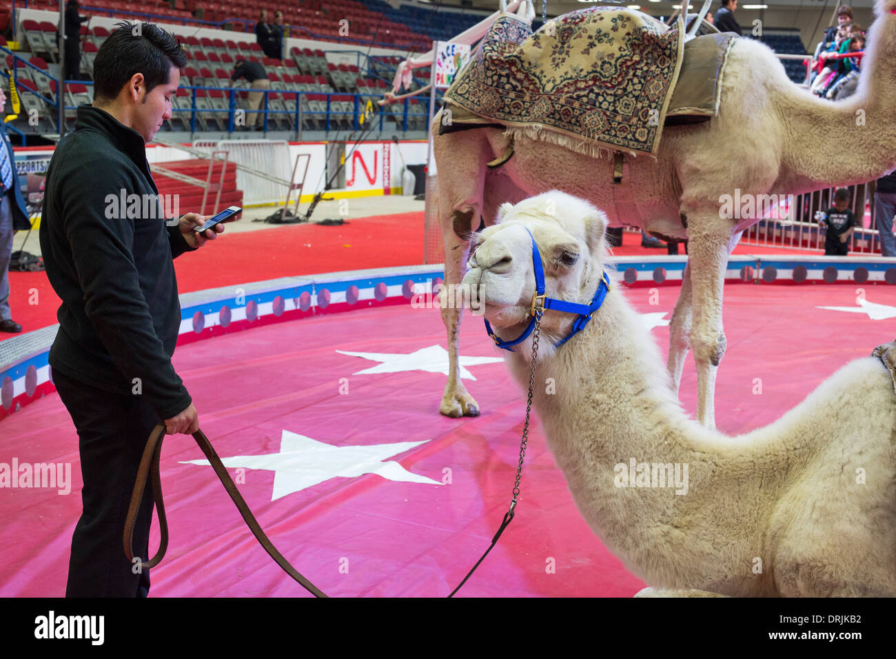 Camel handler hi-res stock photography and images - Alamy