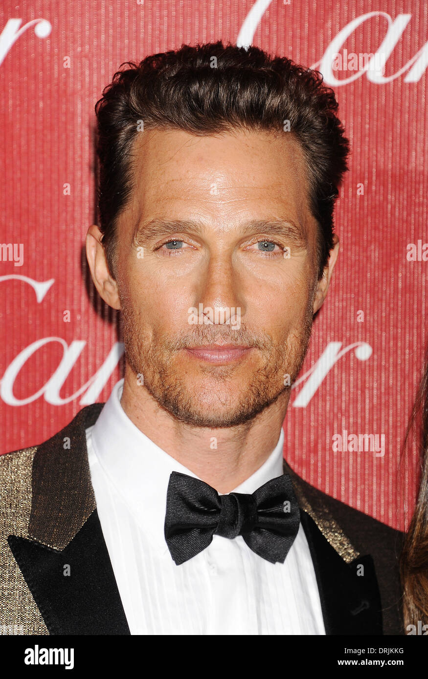MATTHEW McCONAUGHEY US film actor in January 2014. Photo Jeffrey Mayer ...