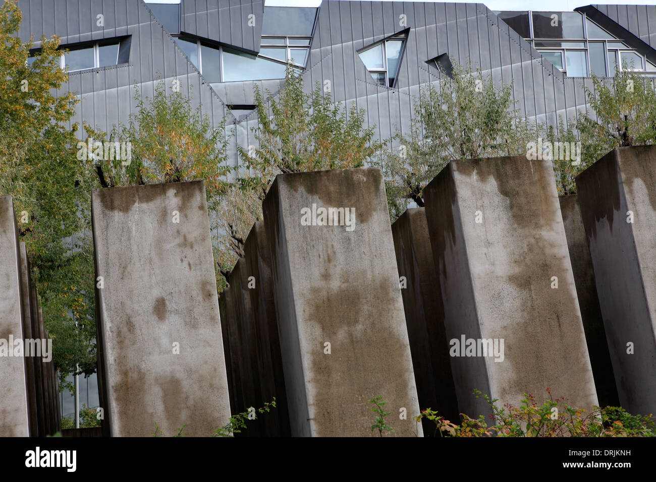 Oleaster in the Garden of Exile with the Jewish Museum’s building in ...