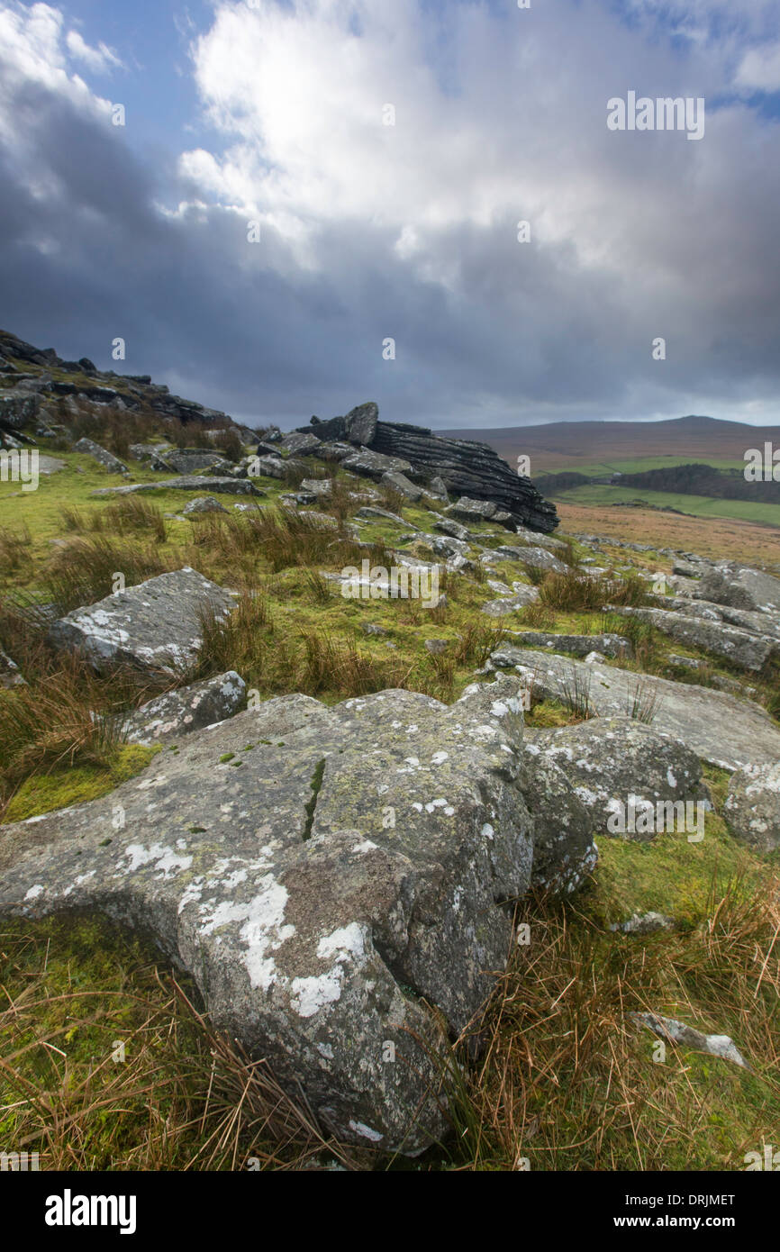 The rocky Tors on Belstone Common, Dartmoor, Belstone near Oakhampton ...