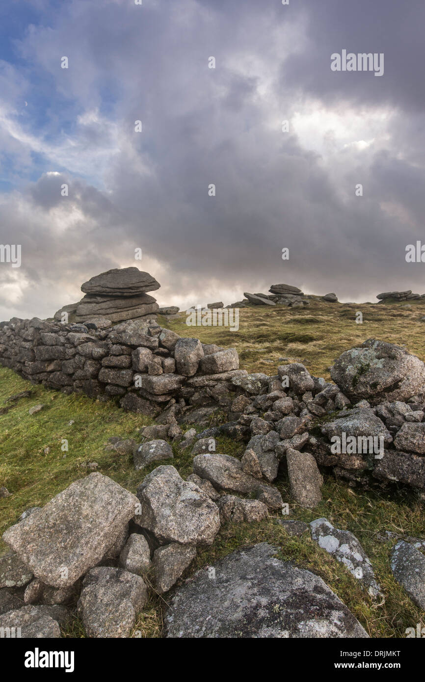 The Logan stone from Irishman's Wall on Belstone Common, Dartmoor ...