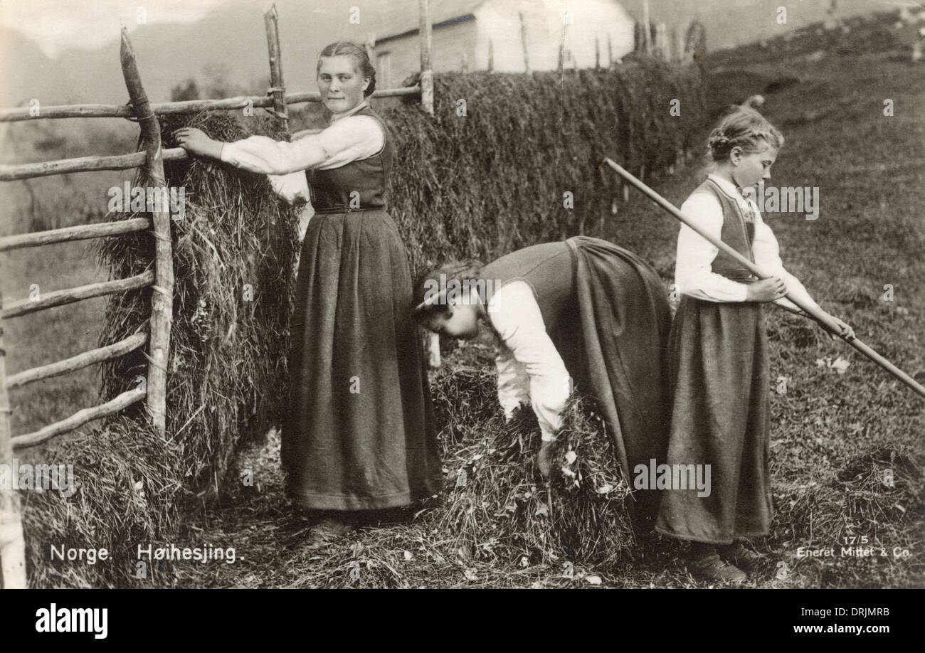Norway - Hay-Drying on racks Stock Photo - Alamy