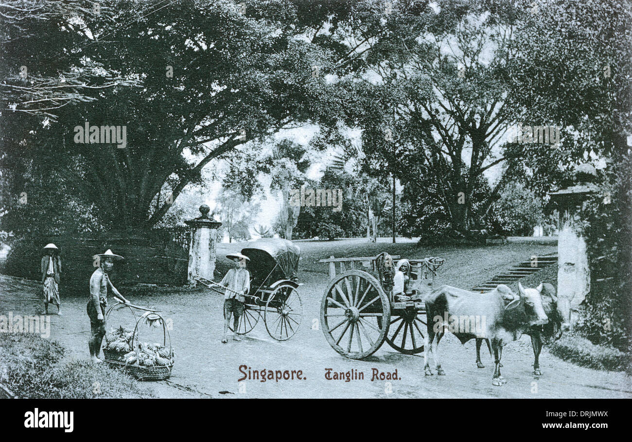 Tanglin Road - Singapore Stock Photo - Alamy