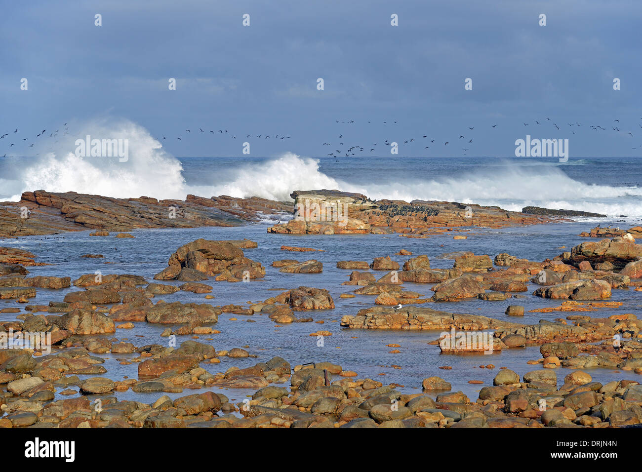 Cape of good hope south africa storm hi-res stock photography and ...