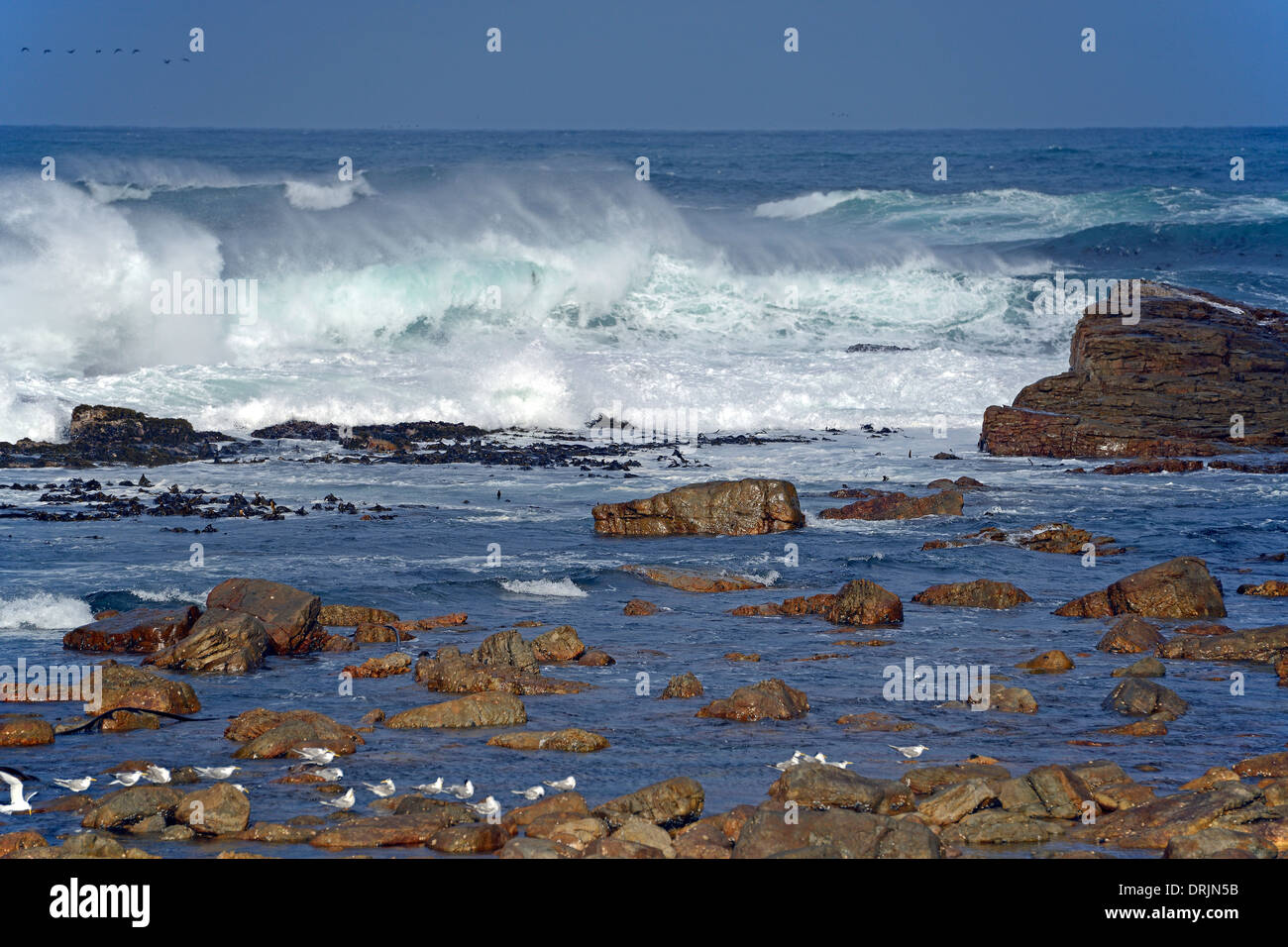 Cape of good hope south africa storm hi-res stock photography and ...