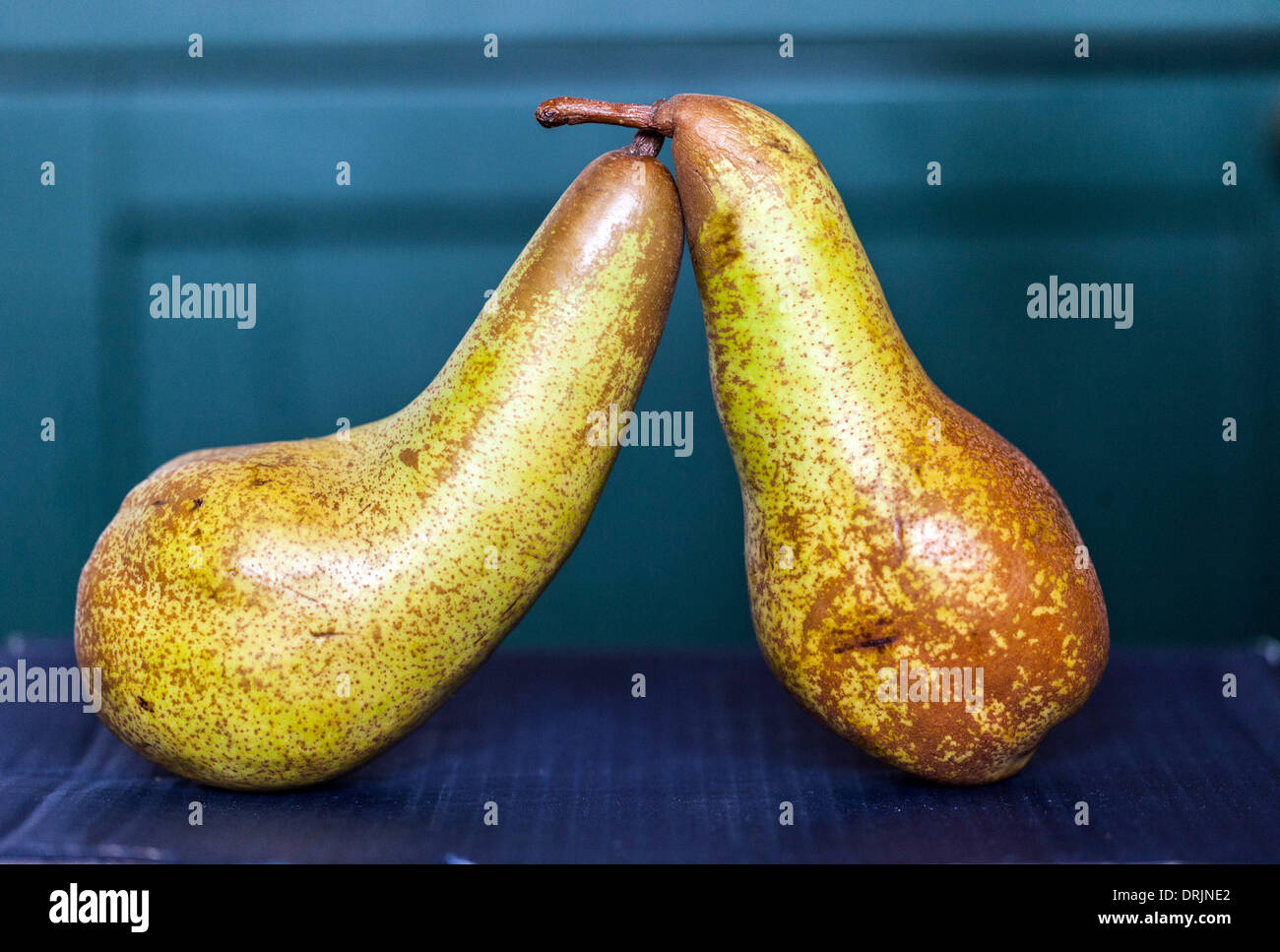 Two pears leaning on each other Stock Photo - Alamy