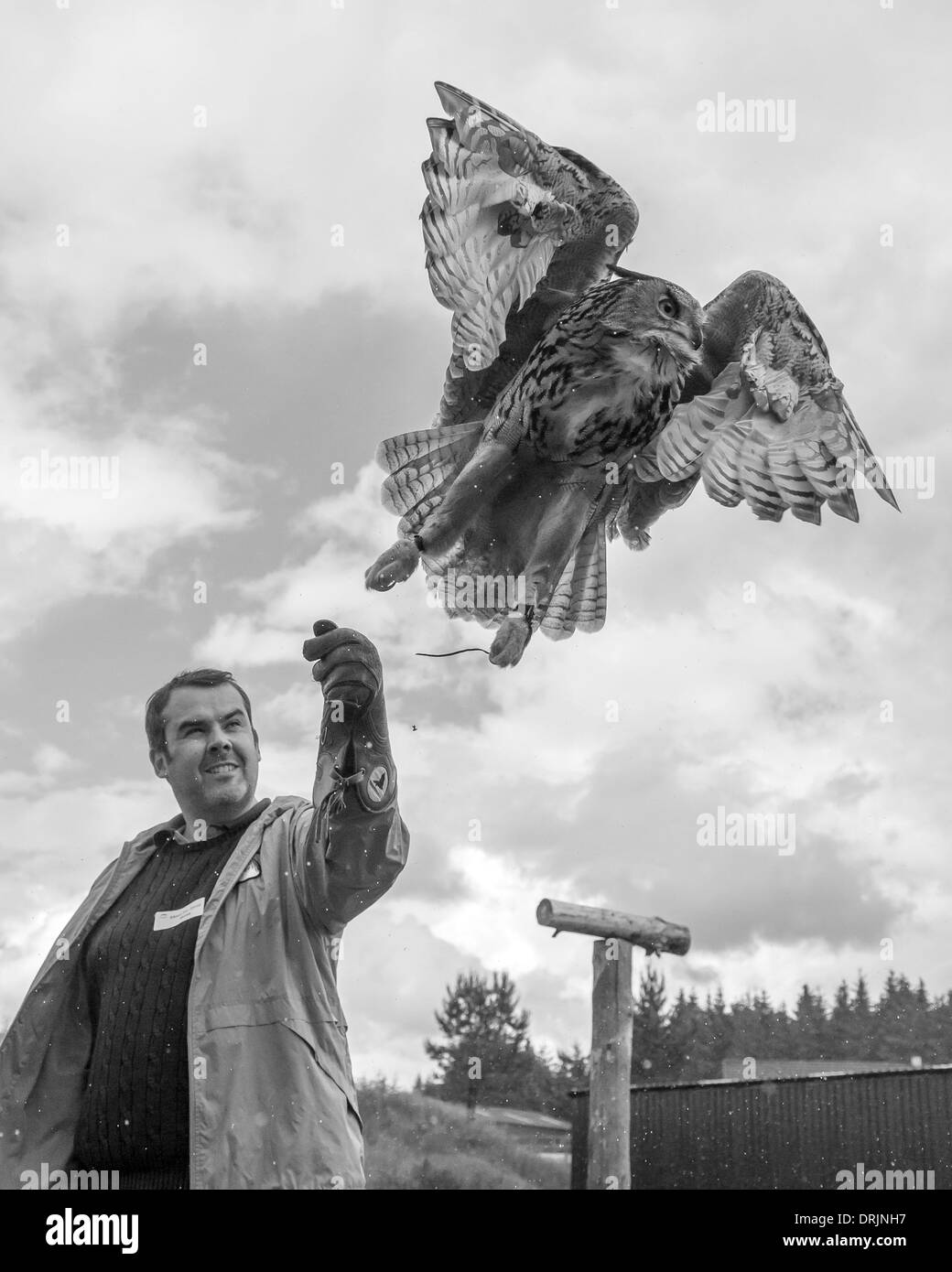 Flying eagle man hi-res stock photography and images - Alamy