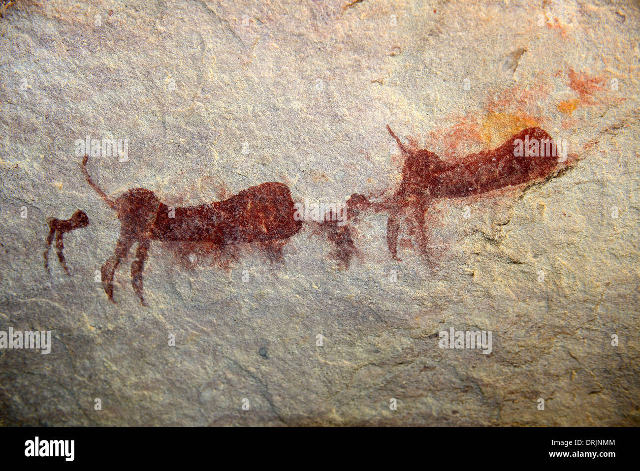 Old rock drawings of the San, natives of South Africa, Seville rock ...