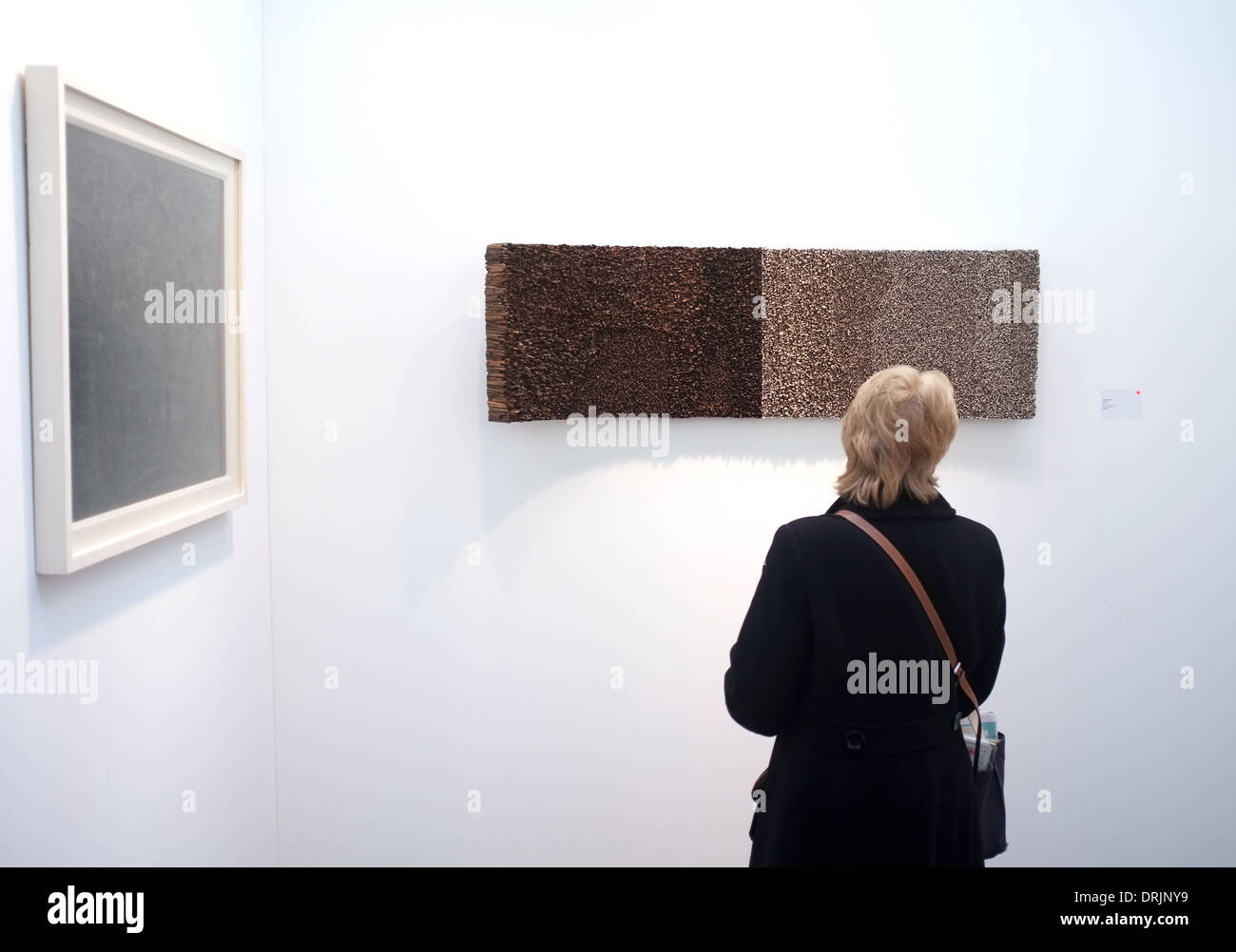Visitor viewing art in a gallery Stock Photo - Alamy
