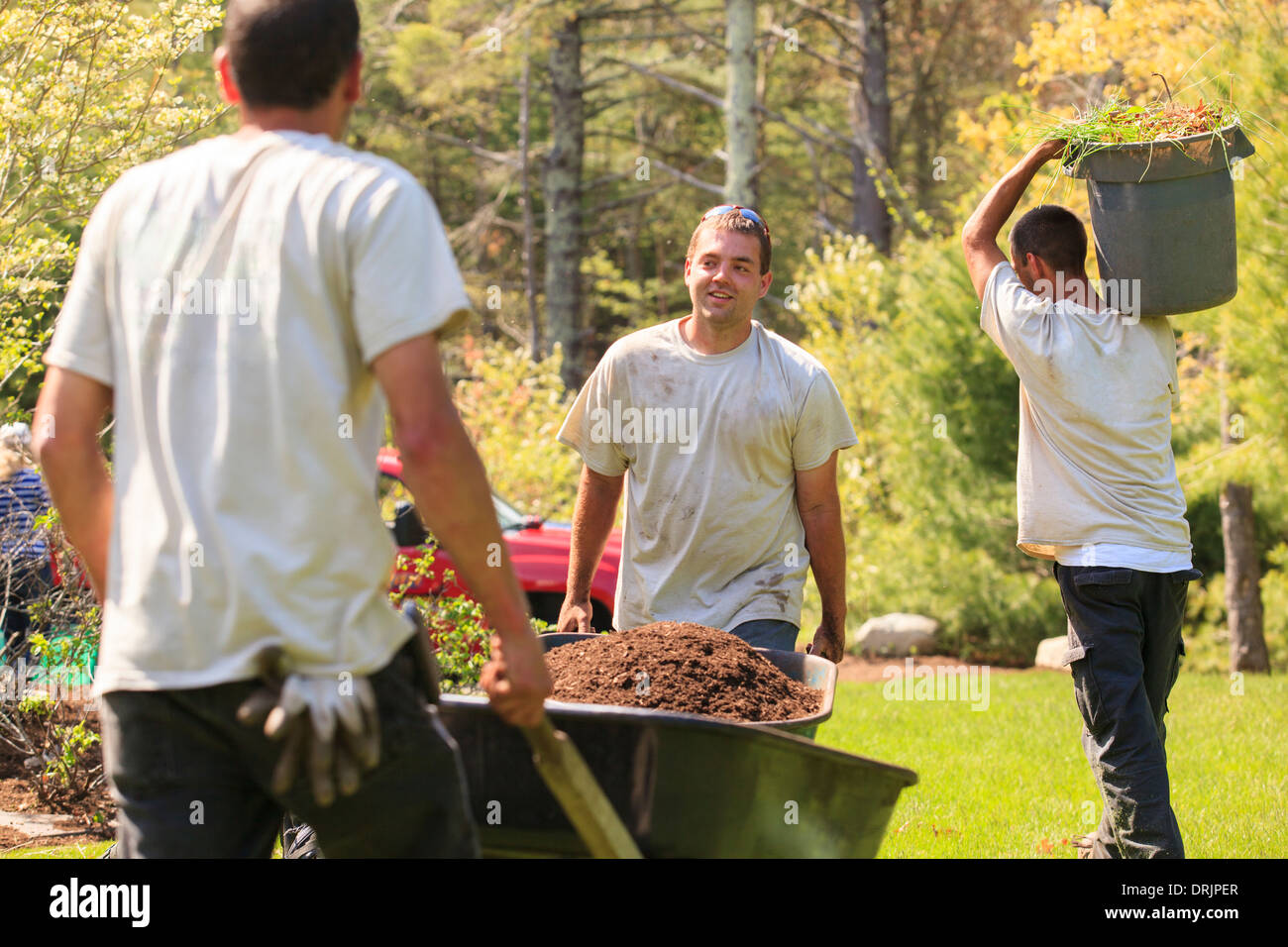 Landscapers carrying mulch to a garden in wheelbarrows Stock Photo - Alamy