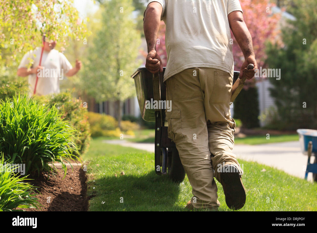 Landscaper carrying mulch to a garden in wheelbarrow Stock Photo - Alamy