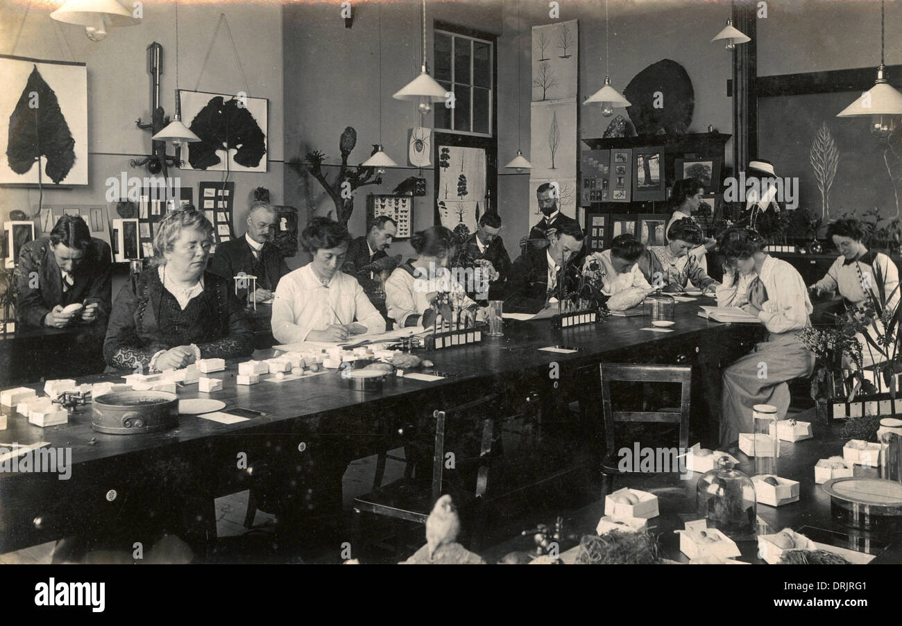 A group of Ornithologists studying birds eggs Stock Photo - Alamy