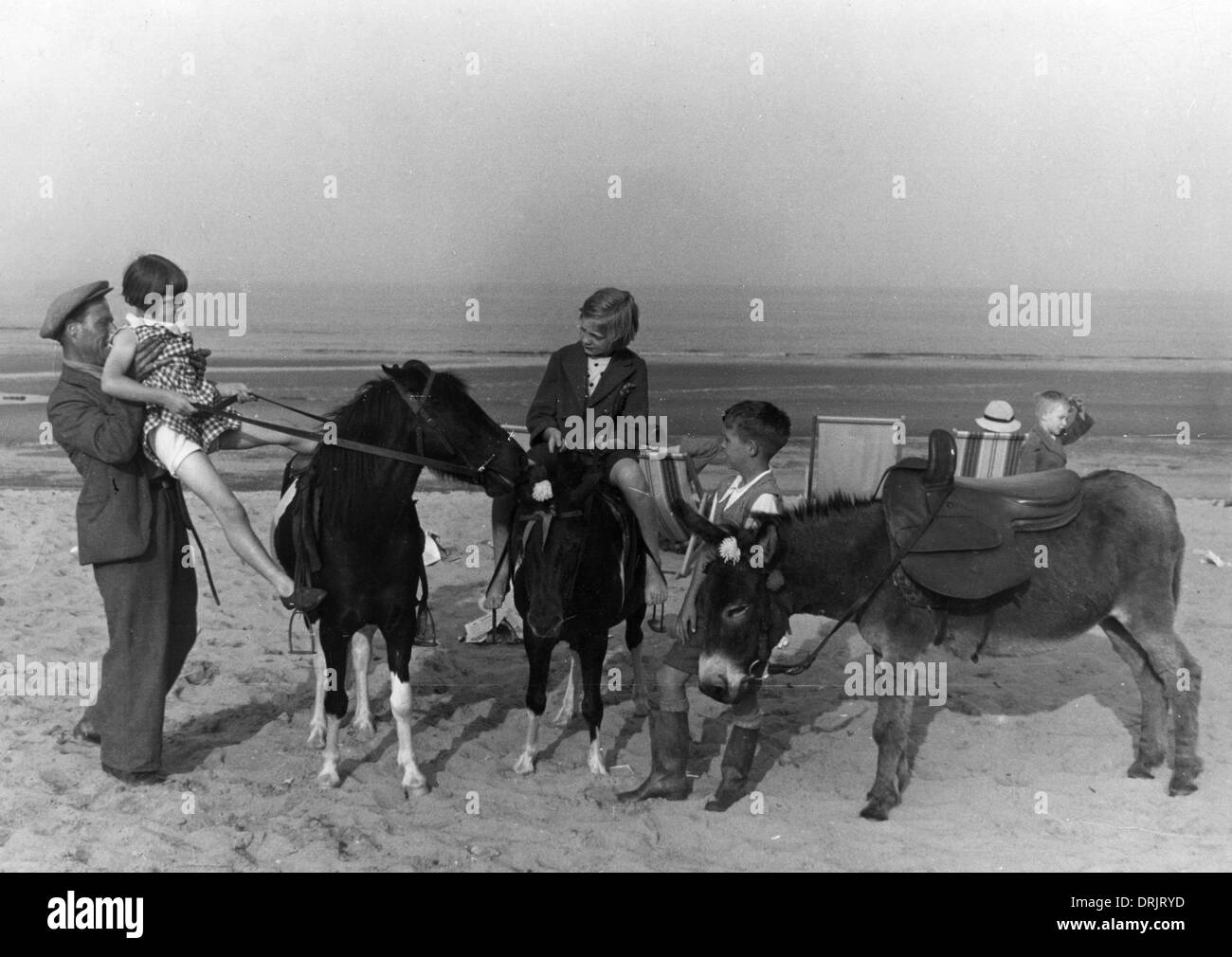 Donkeys on a beach hi-res stock photography and images - Alamy