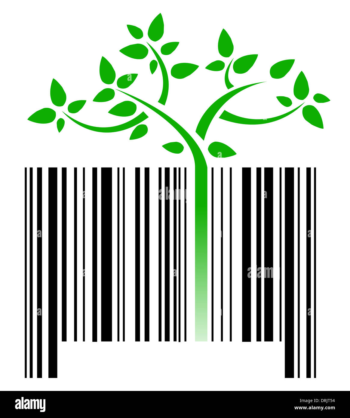 Tree barcode Cut Out Stock Images & Pictures - Alamy