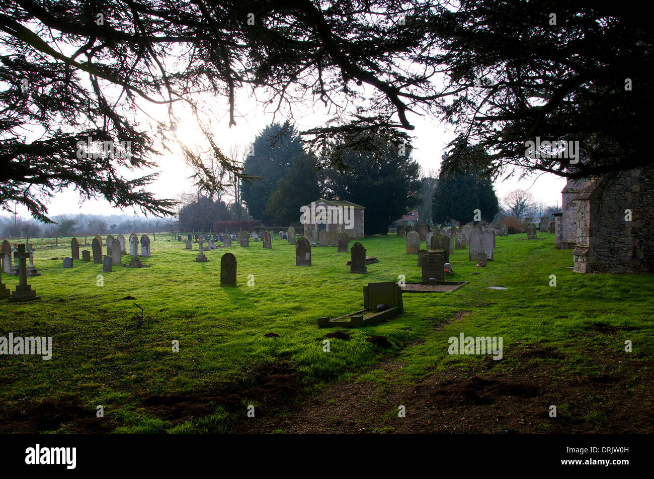 Tharston hi-res stock photography and images - Alamy