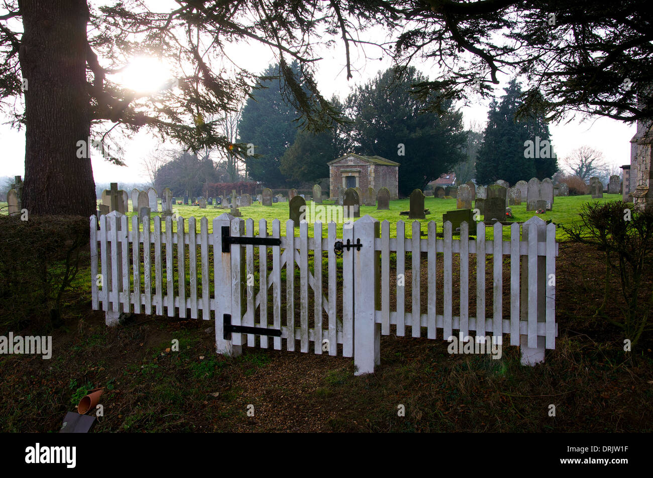 Tharston hi-res stock photography and images - Alamy
