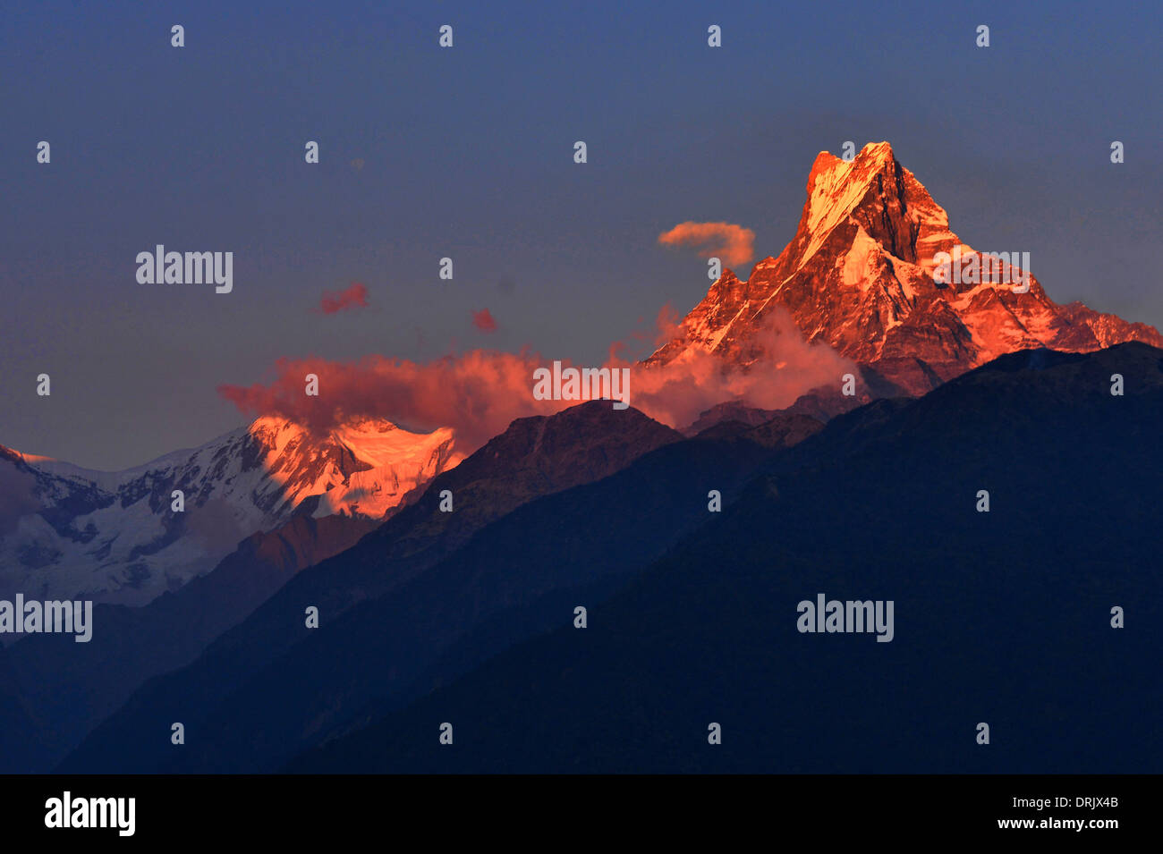 Machapuchare (Fishtail Peak) at sunset seen from Tadapani in the ...