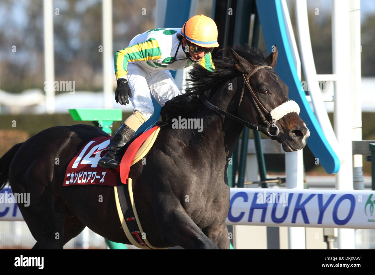 Aichi, Japan. 26th Jan, 2014. Nihonpiro Ours (Manabu Sakai) Horse Racing : Nihonpiro Ours ridden ...