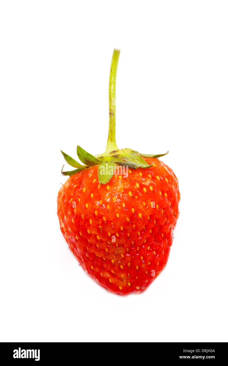 Isolated strawberry fruit hi-res stock photography and images - Alamy