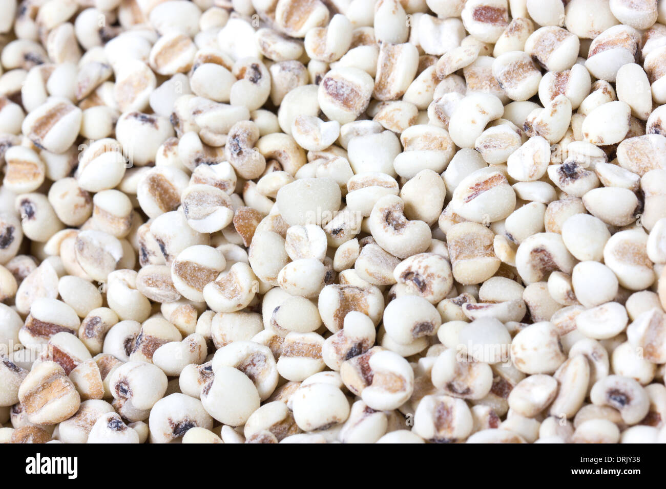 Job's tears texture background Stock Photo - Alamy