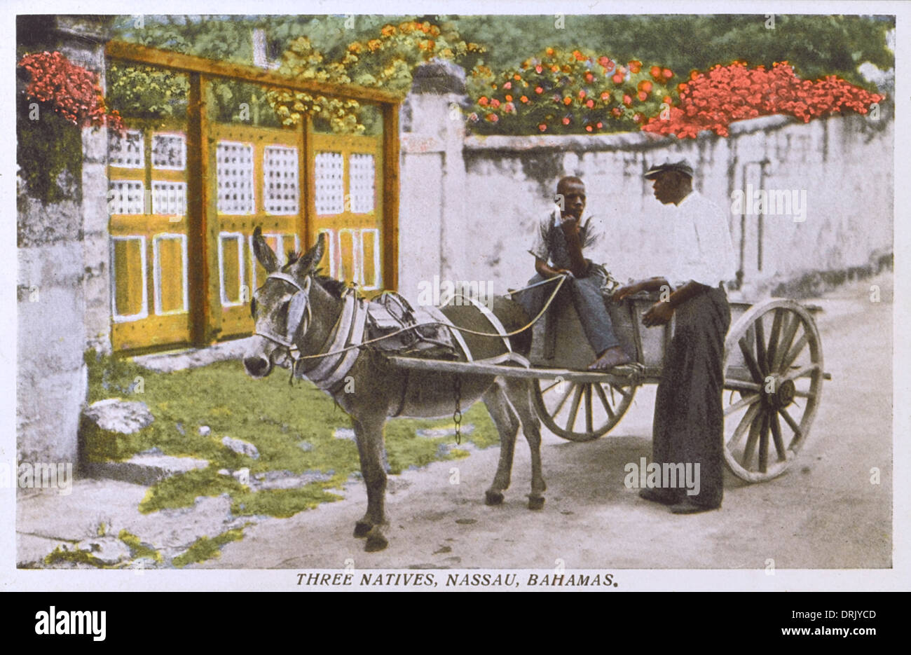 Three Natives of Nassau - Bahamas Stock Photo - Alamy