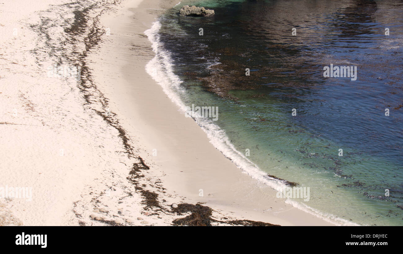 Point lobos state park hi-res stock photography and images - Alamy
