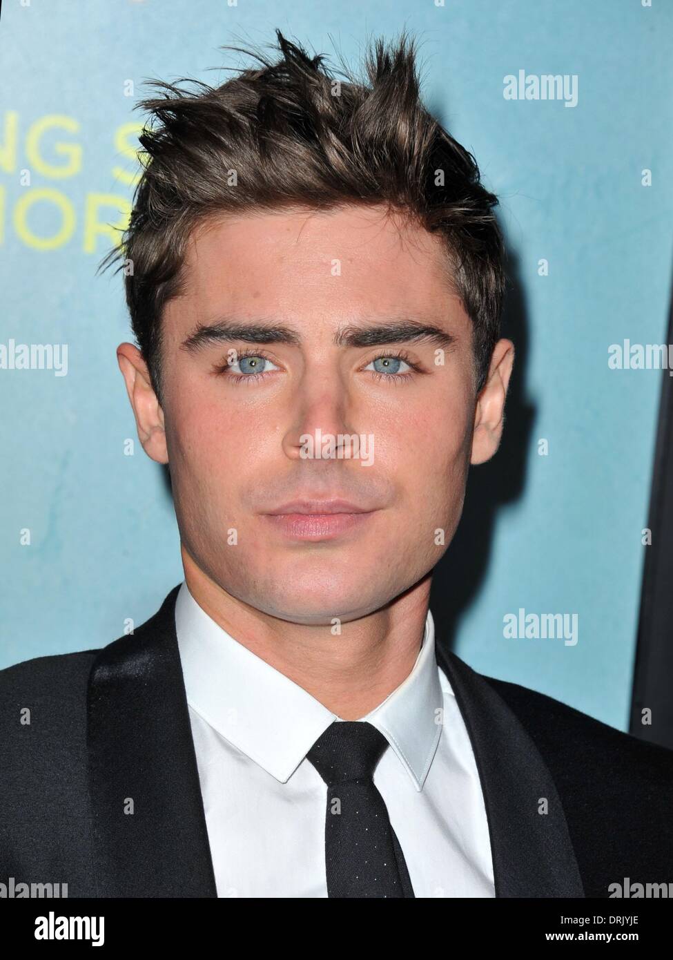 Los Angeles, CA, USA. 27th Jan, 2014. Zac Efron at arrivals for THAT ...