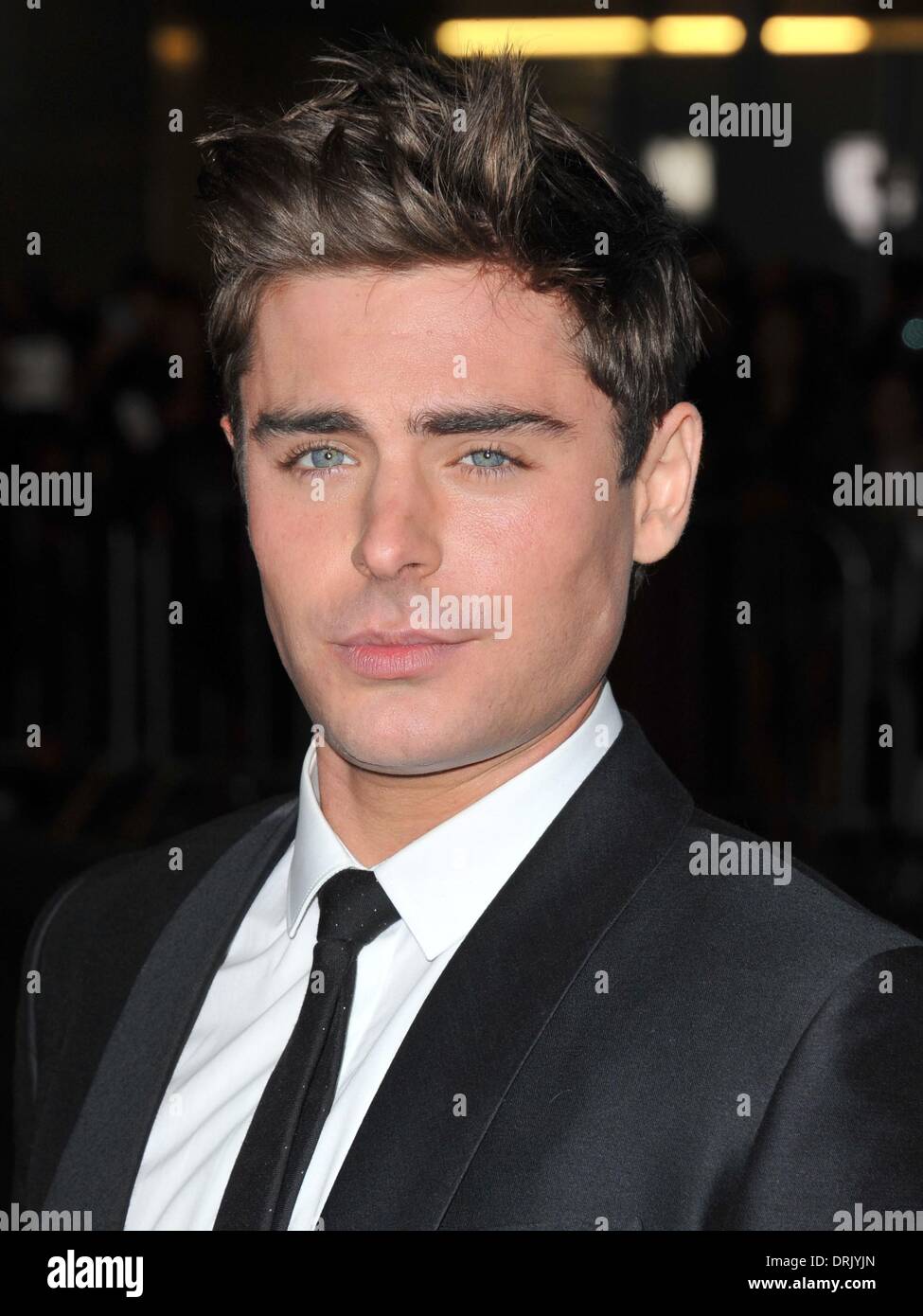 Los Angeles, CA, USA. 27th Jan, 2014. Zac Efron at arrivals for THAT ...