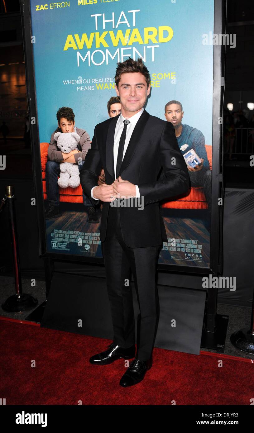 Los Angeles, CA, USA. 27th Jan, 2014. Zac Effron at arrivals for THAT ...