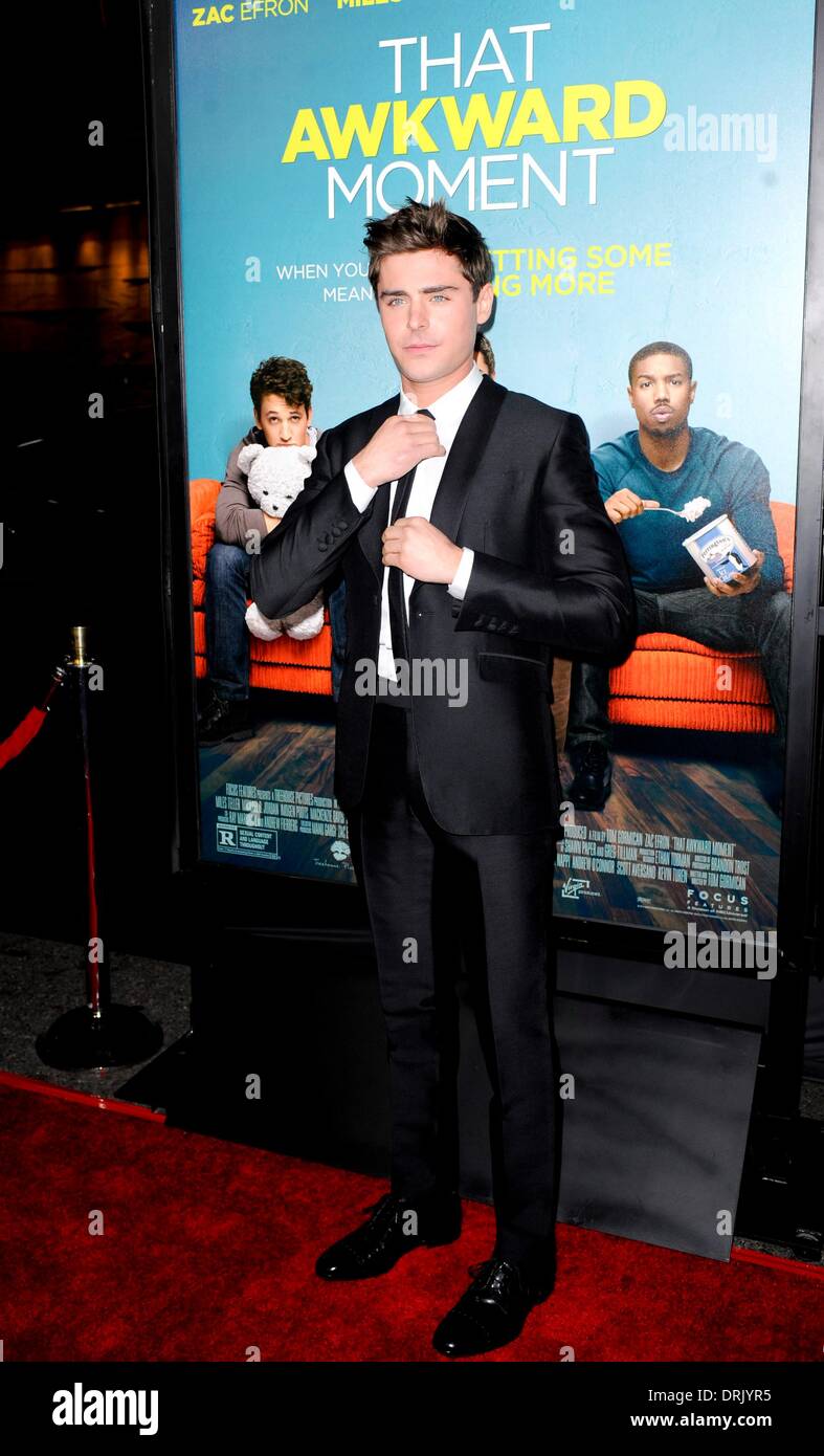 Los Angeles, CA, USA. 27th Jan, 2014. Zac Effron at arrivals for THAT ...