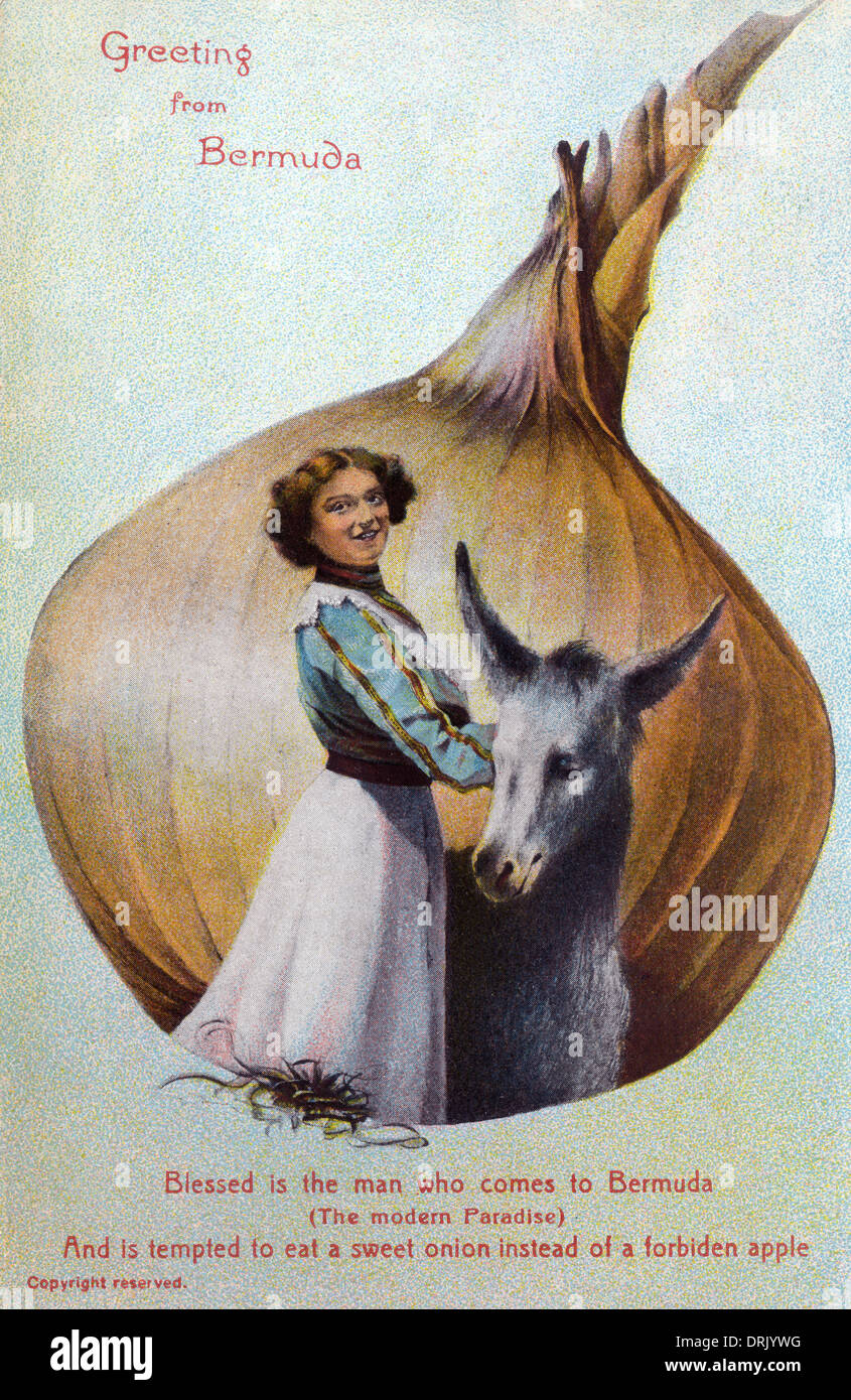 Funny humorous quirky hi-res stock photography and images - Alamy