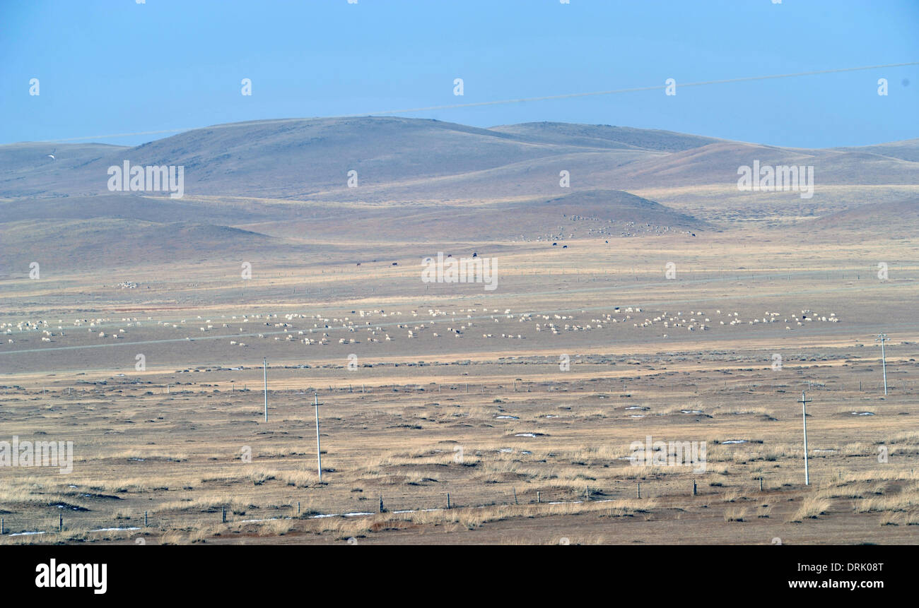 Erenhot chinas inner mongolia autonomous hi-res stock photography and ...