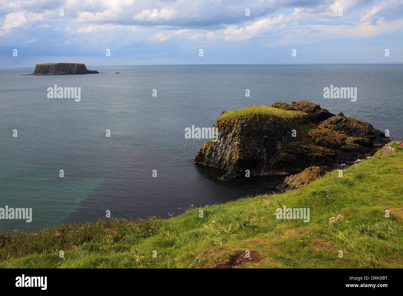 Coastal scenery near Carrick a Rede along the causeway coast, Co ...