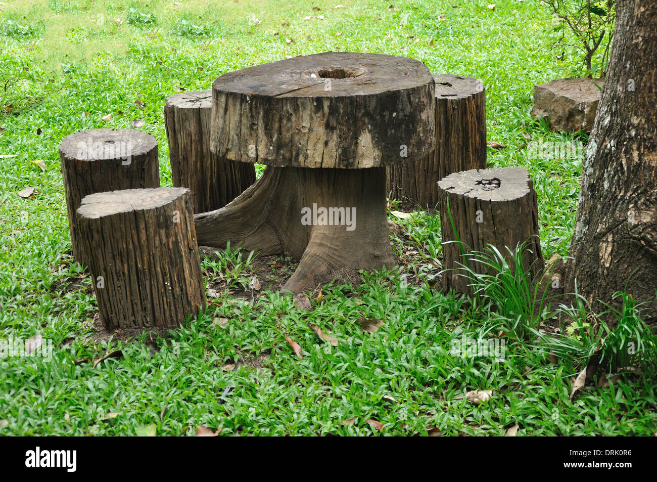 Tree stump chair hi-res stock photography and images - Alamy