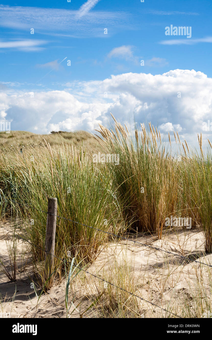 Cadzand Zeeland, Netherlands Stock Photo - Alamy