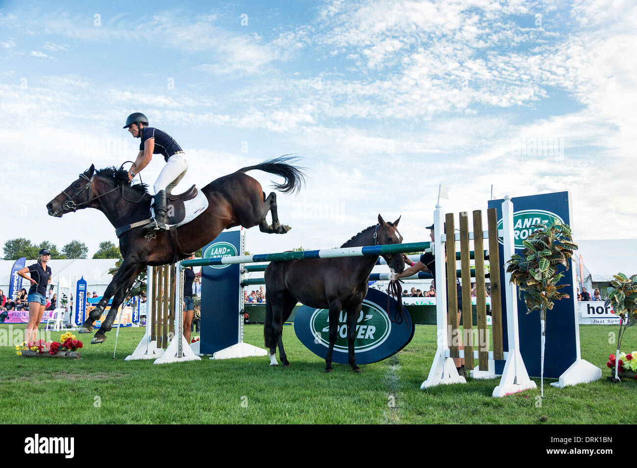 Kaimanawa Horse. Vicky Wilson on a chestnut gelding jumping over an ...