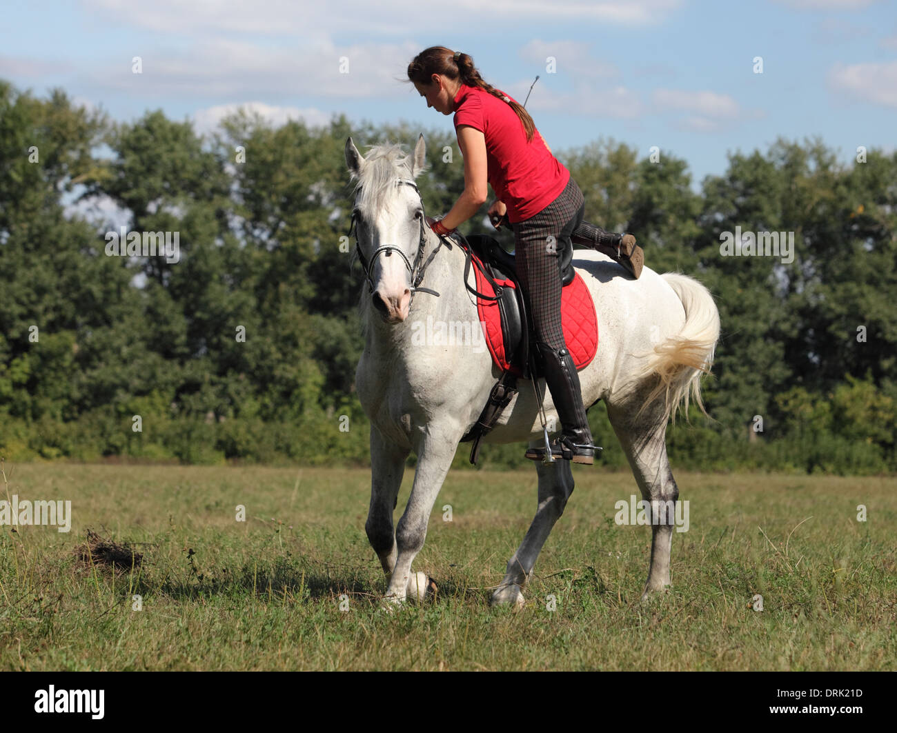 Mounted woman horse hi-res stock photography and images - Alamy