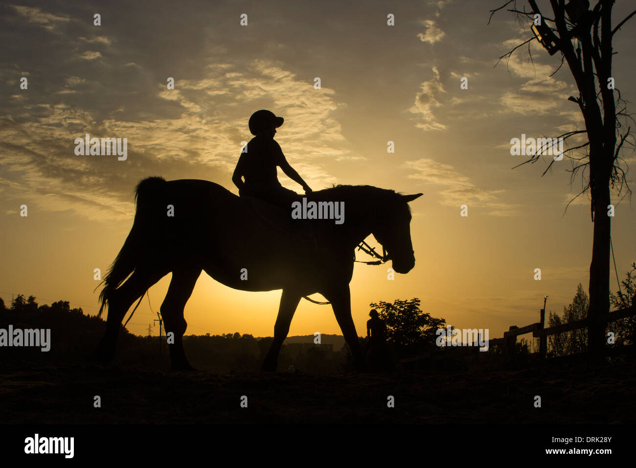 Horse riding silhouette Stock Photo - Alamy
