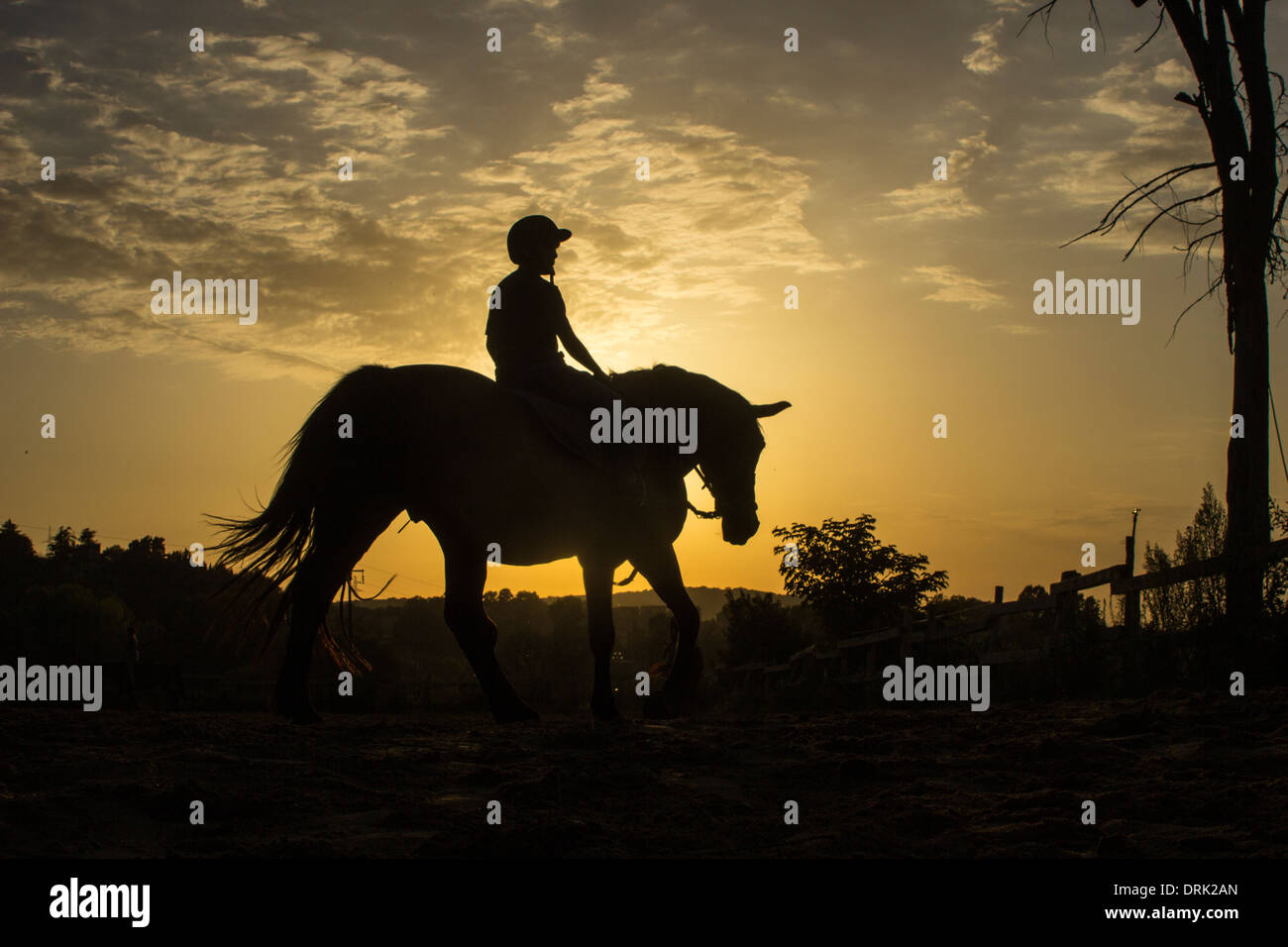 Horse riding silhouette Stock Photo - Alamy