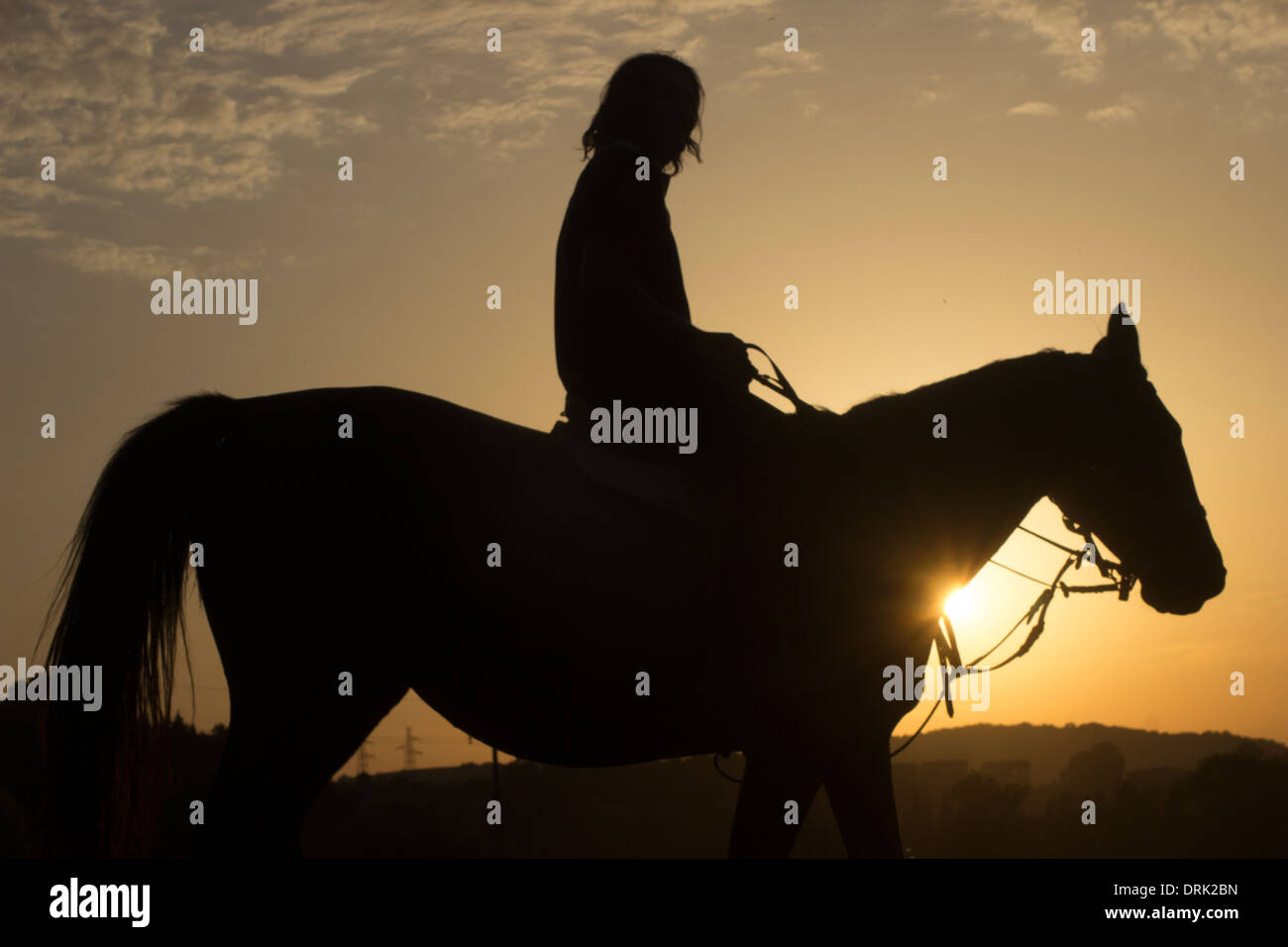Horse riding silhouette Stock Photo - Alamy