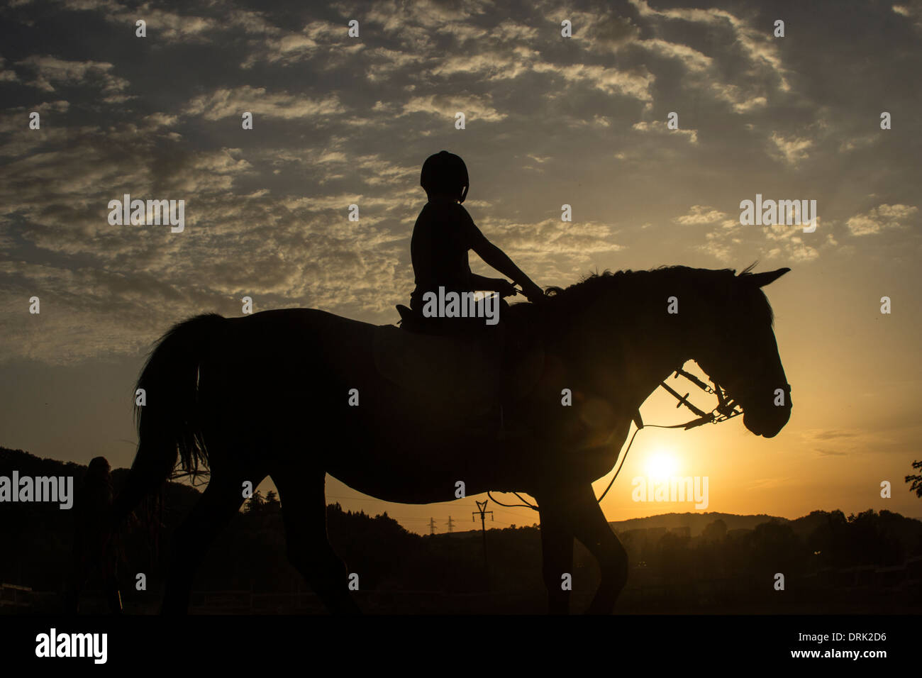 Horse riding silhouette Stock Photo - Alamy