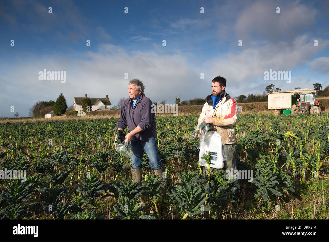 Holding cale hi-res stock photography and images - Alamy