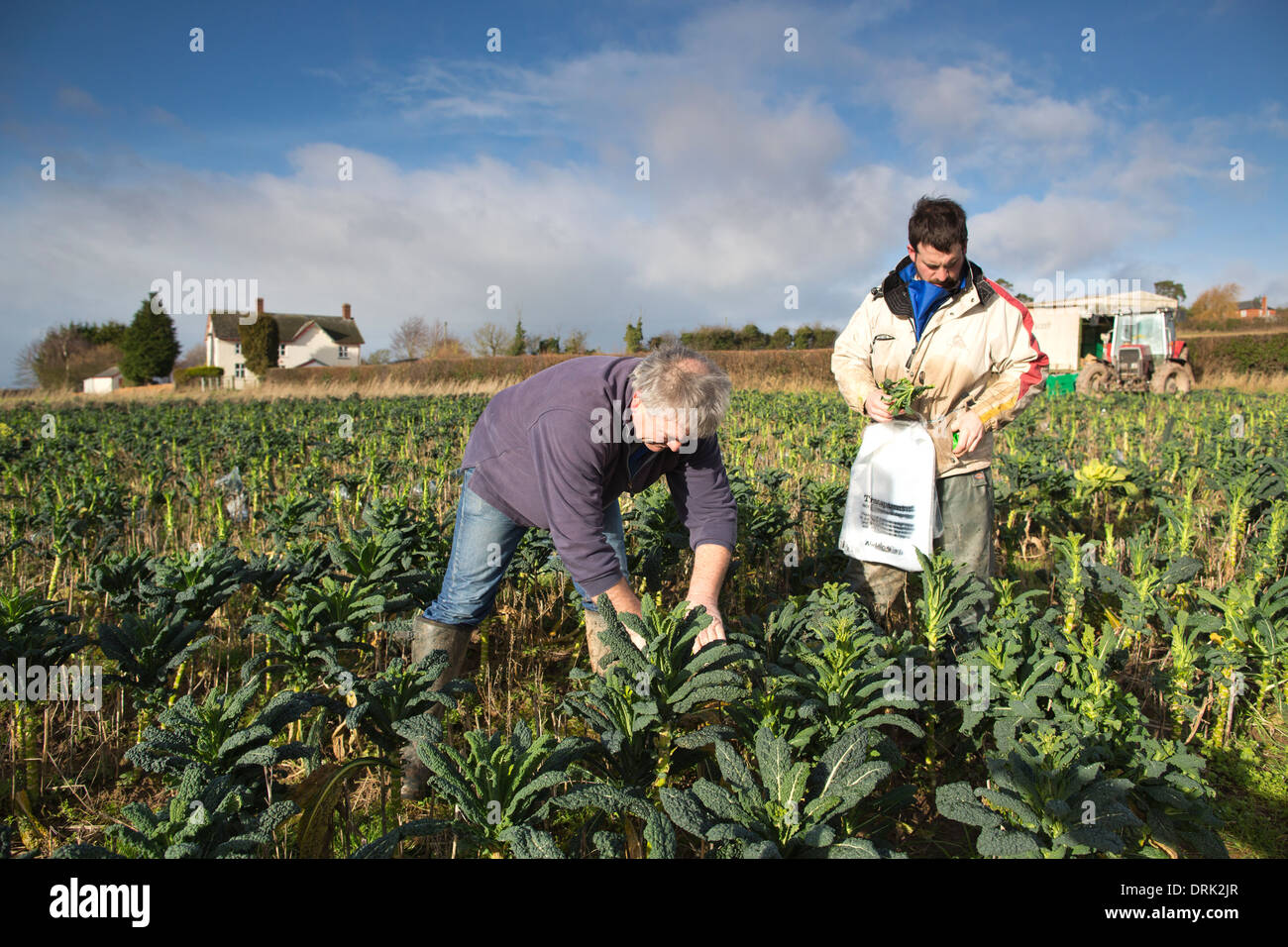 Holding cale hi-res stock photography and images - Alamy