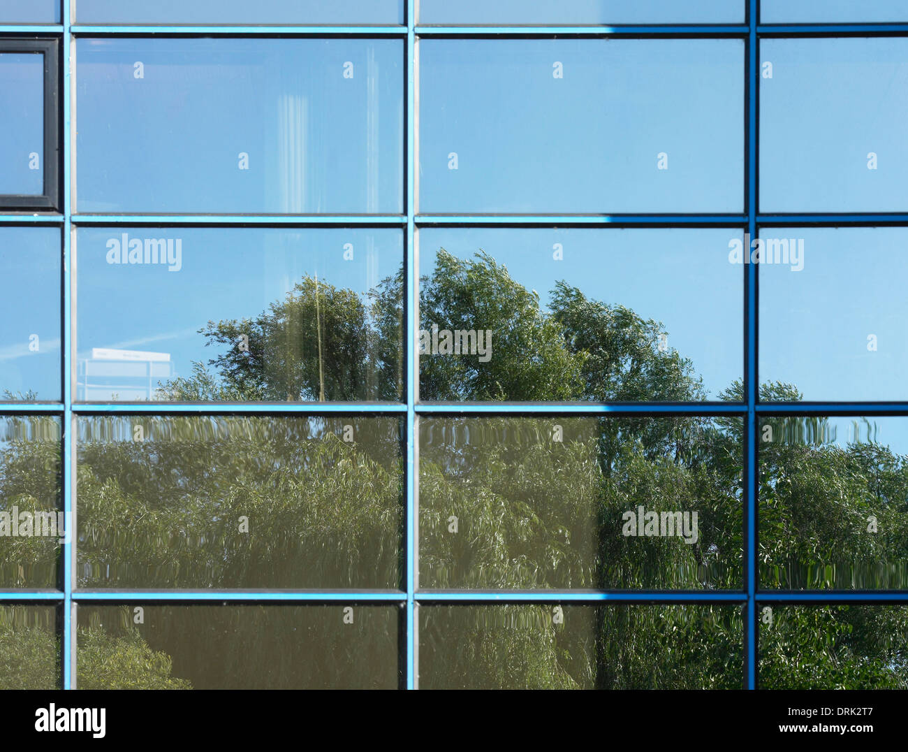 Trees reflected in windows Stock Photo - Alamy